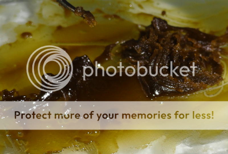 Help with purging my BHO | Grasscity Forums - The #1 Marijuana ...