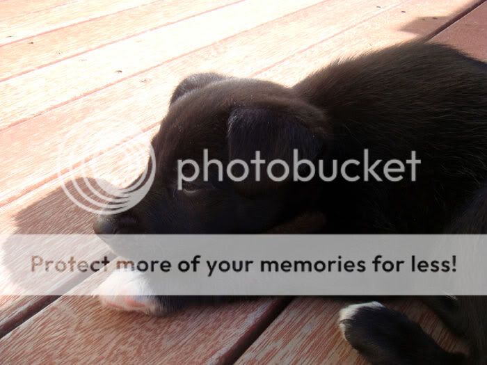 11th April 2010: Visiting Dad