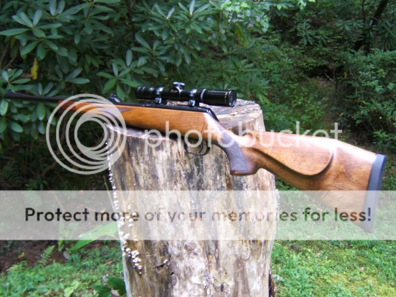 Another Mauser 201 Luxus | Rimfire Central Firearm Forum