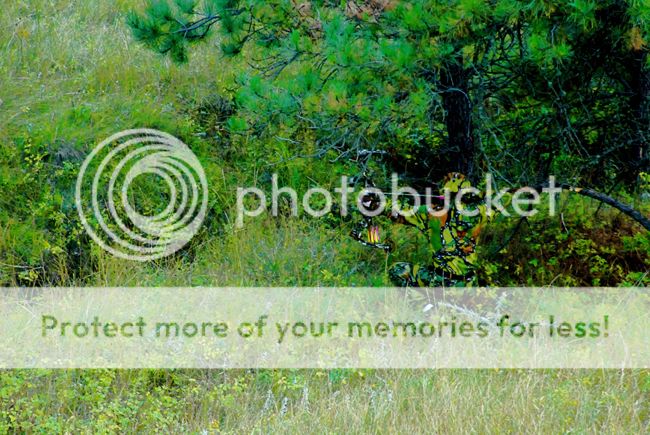 Predator Camo Sale | Archery Talk Forum