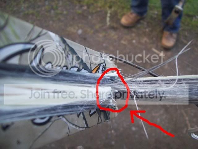 Martin slayer Broken limb! | Page 2 | Archery Talk Forum