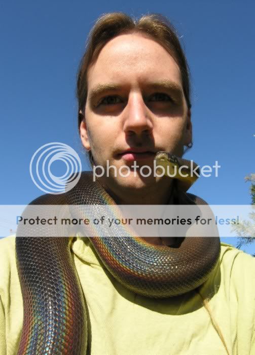 Water python care? | Aussie Pythons & Snakes Forum