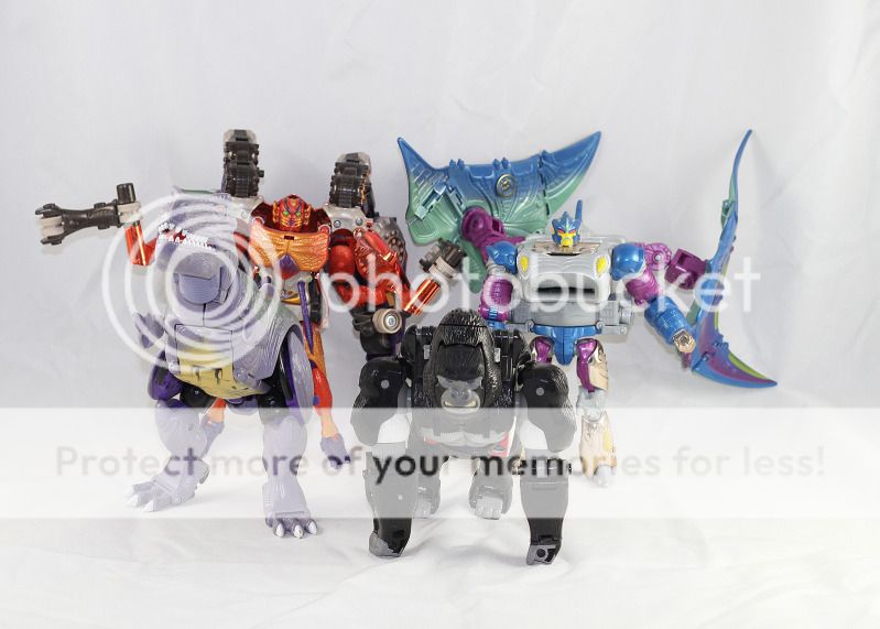 Beast Wars Collection! | TFW2005 - The 2005 Boards