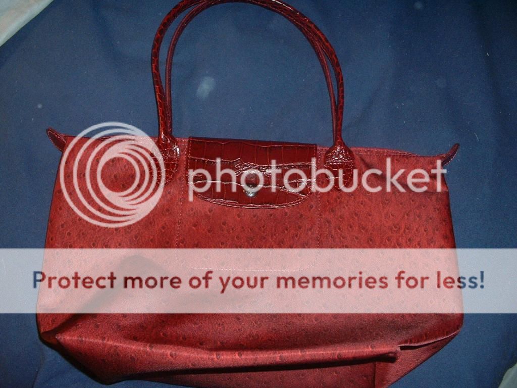 Show us your Longchamp! | PurseForum