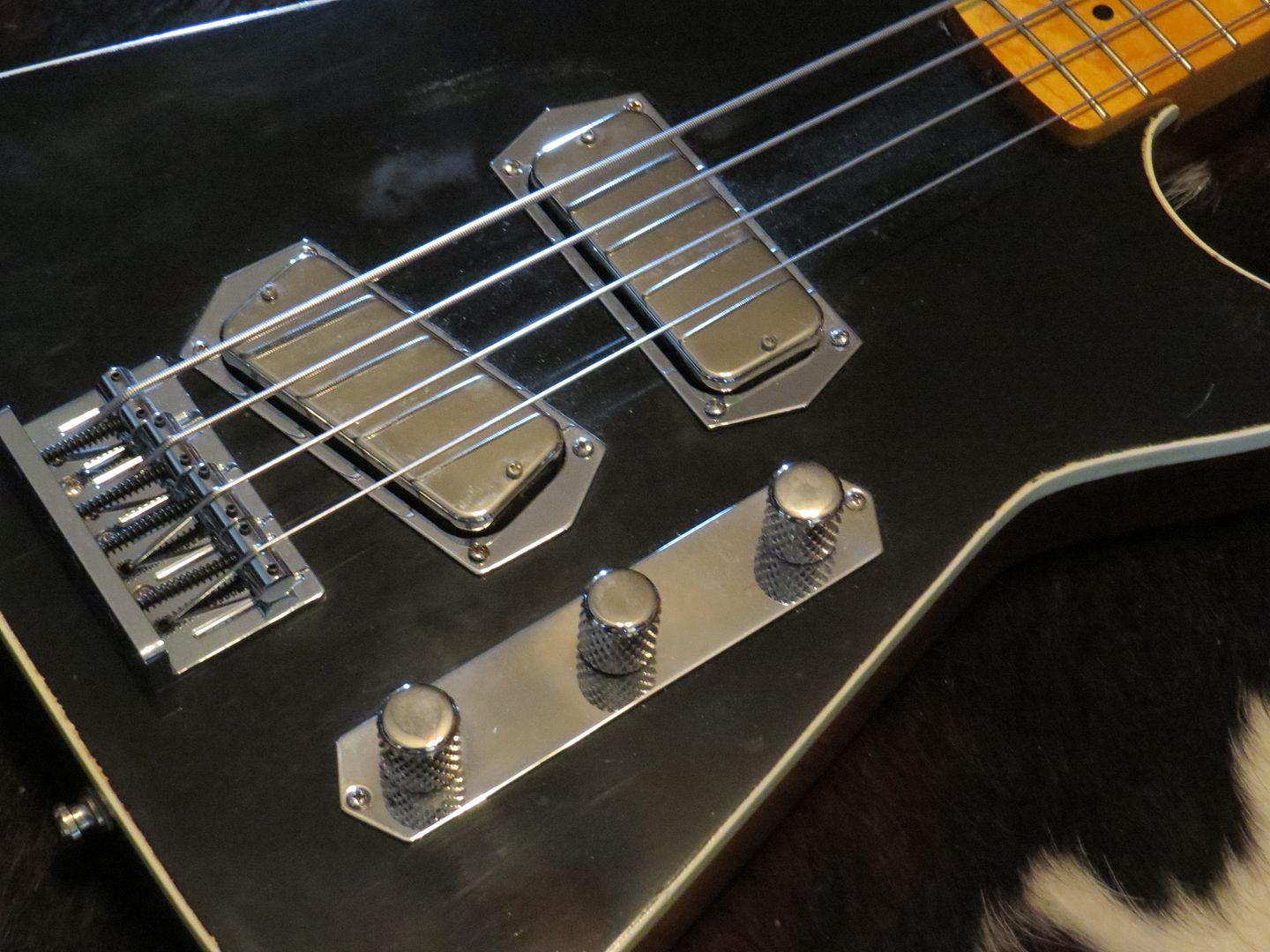 Thunderbird Pickups? | TalkBass.com