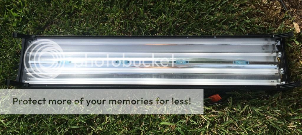 T5 Light, VHO ballast, MH Reflectors, Reeflo Motors | REEF2REEF ...