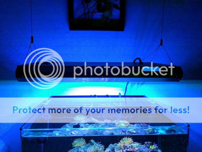 JBJ 30 Gallon Rimless Lighting? | Reef2Reef