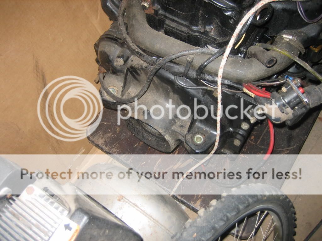 Mercruiser 3.7 liter pictures | The H.A.M.B.