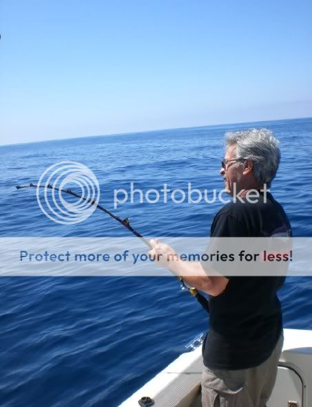 Whopper Stopper Mini Rod | Bloodydecks