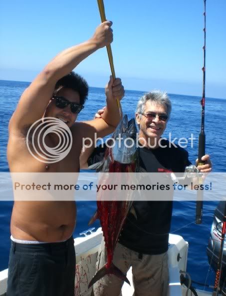 Whopper Stopper Mini Rod | Bloodydecks