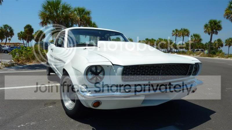 1966 Ford Mustang Notchback Road Racer - Trans-Am A/S Group II ...
